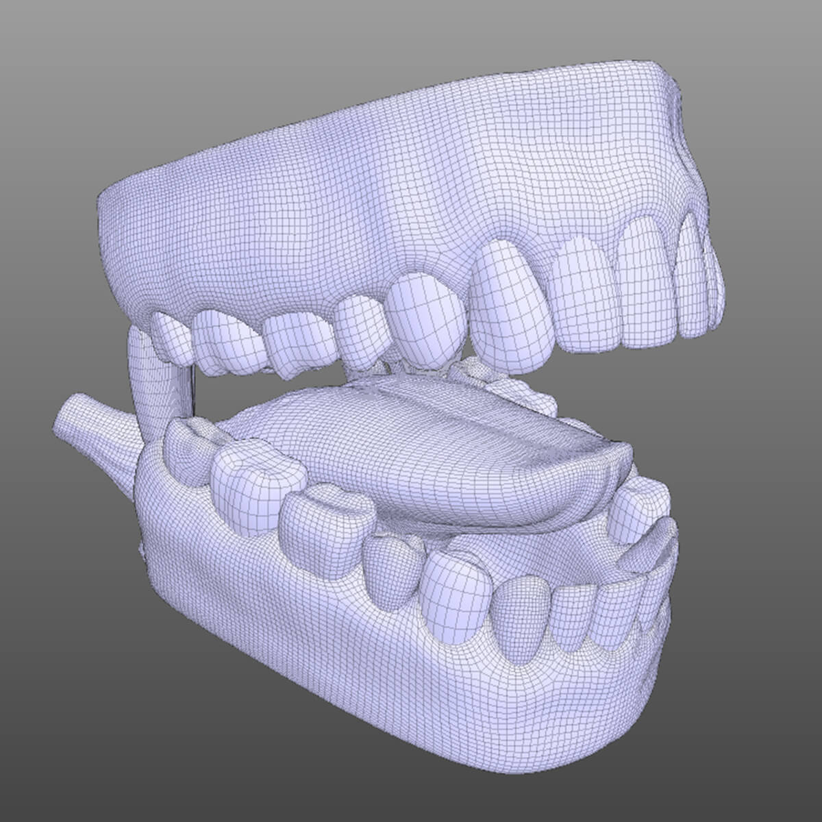 Mouth Anatomy - 3D Model by AzulUtak