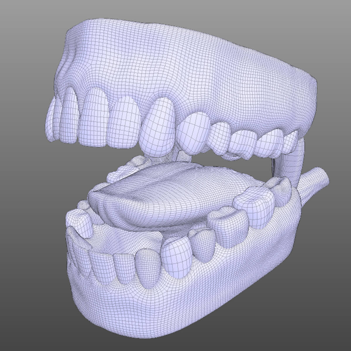 Mouth Anatomy - 3D Model by AzulUtak
