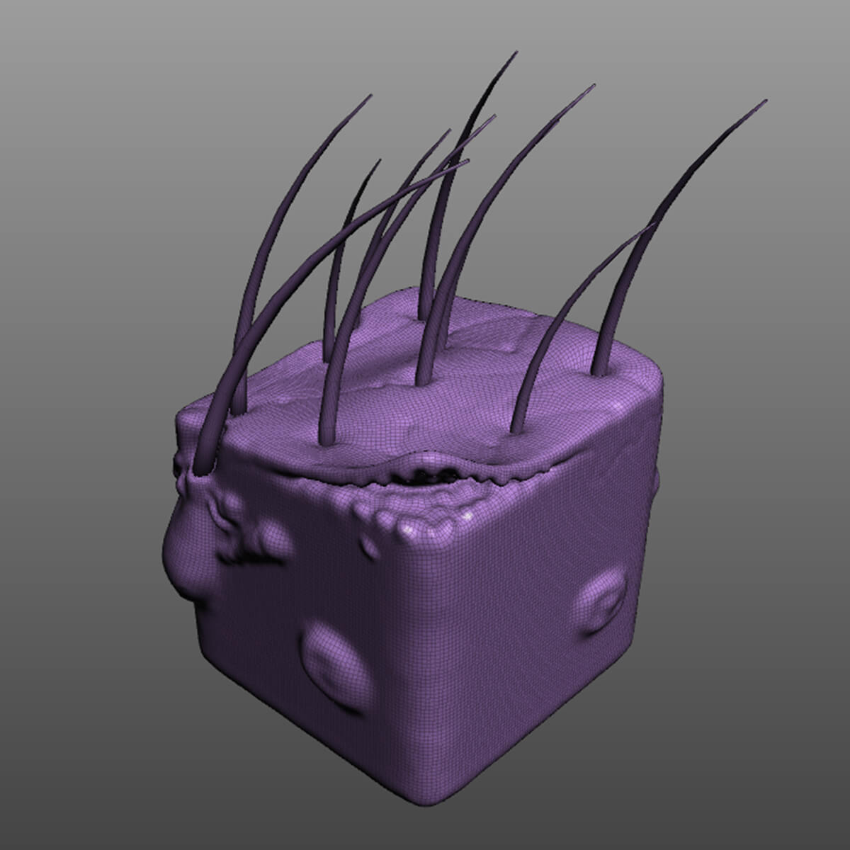 Skin Anatomy - 3D Model by AzulUtak