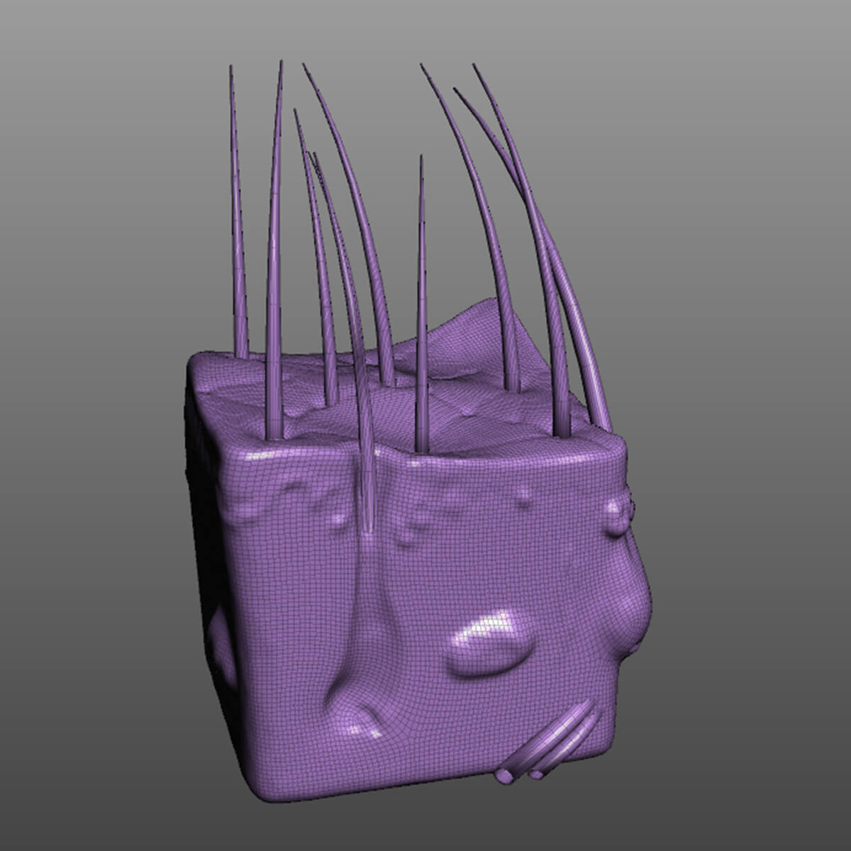 Skin Anatomy - 3D Model by AzulUtak