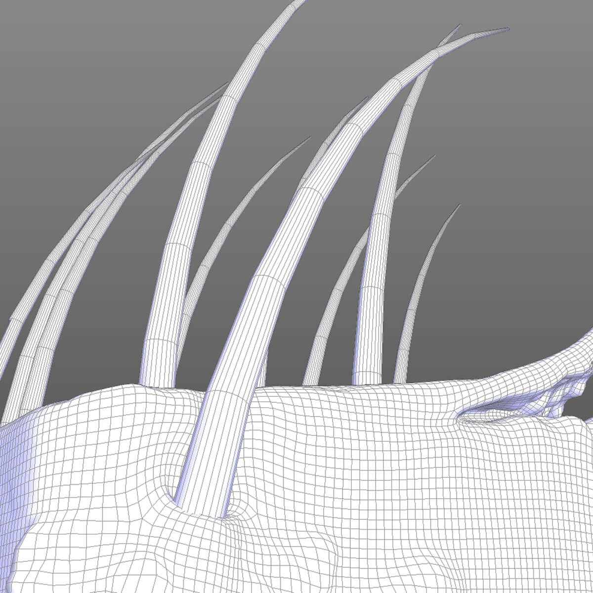 Skin Anatomy - 3D Model by AzulUtak