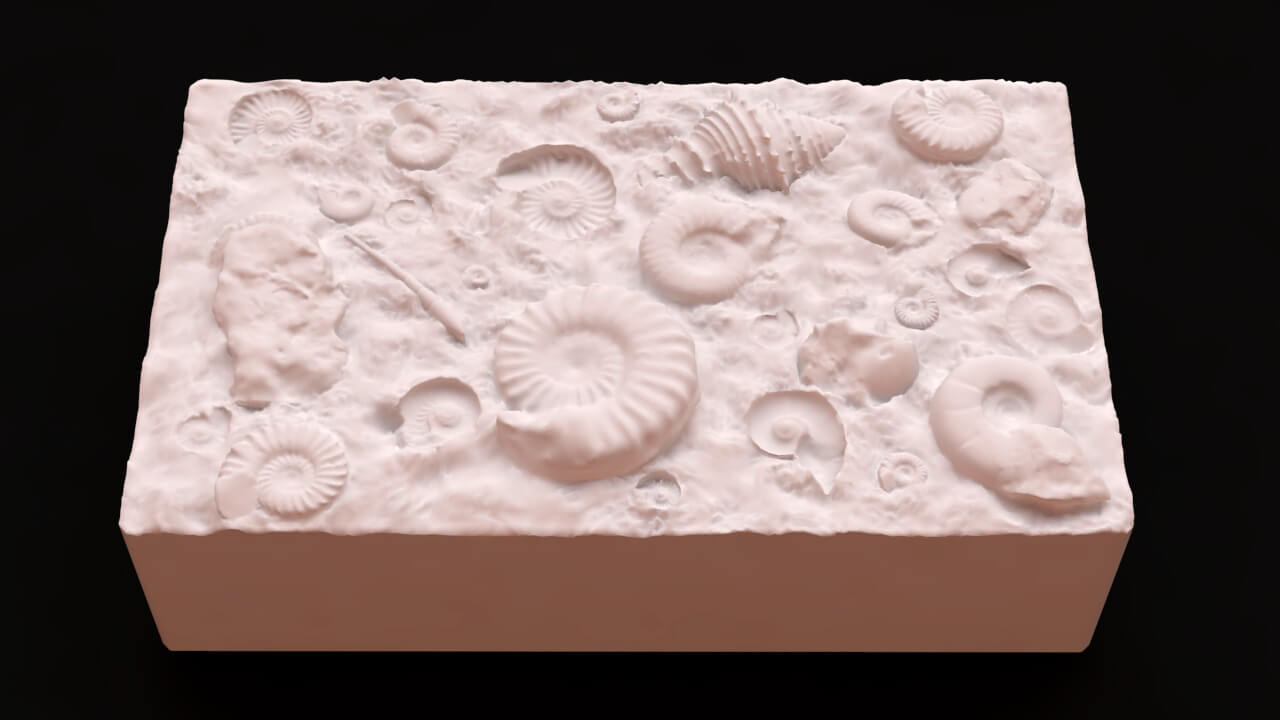 Fossil Shells Mold - 3D Model by bayazoff