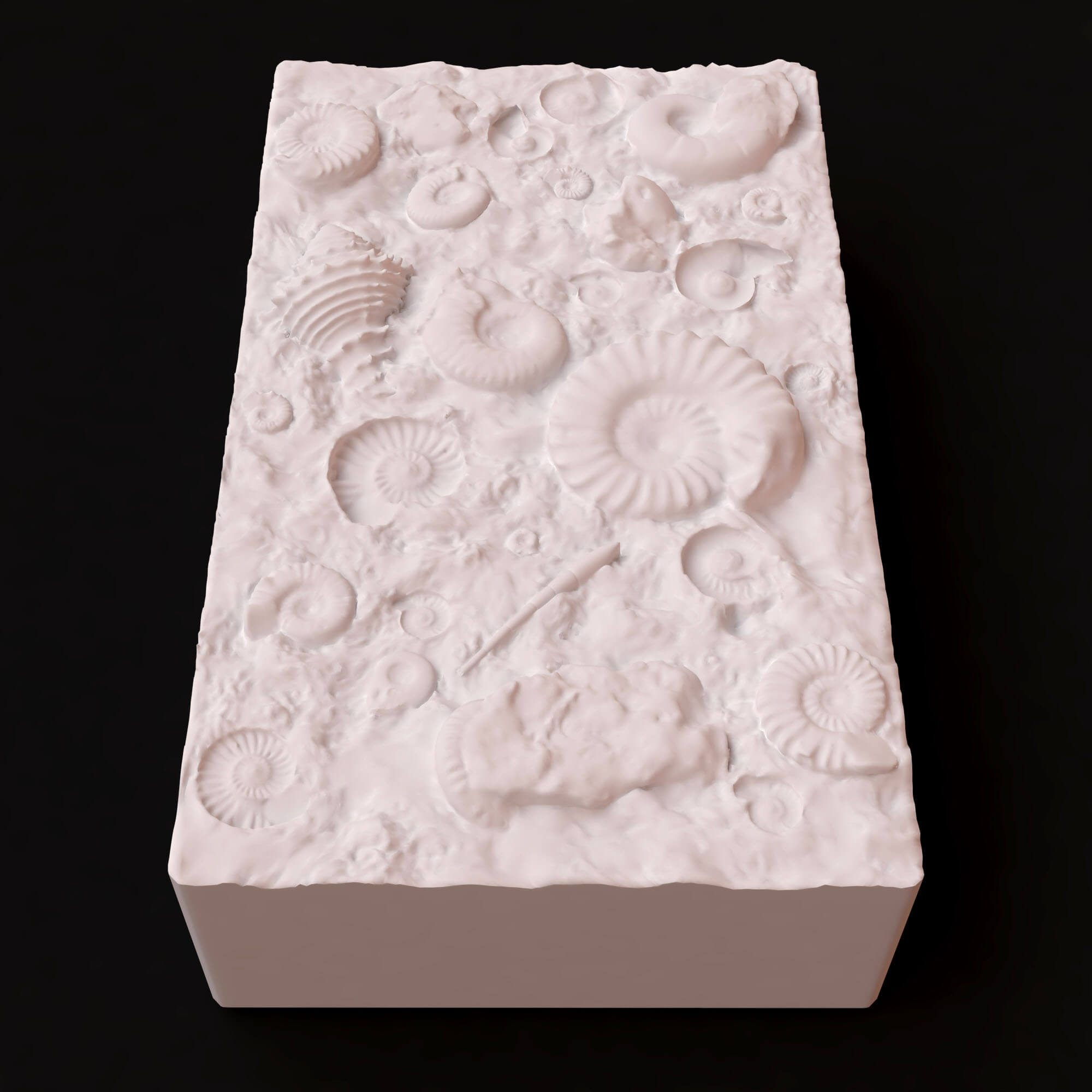 Fossil Shells Mold - 3D Model by bayazoff