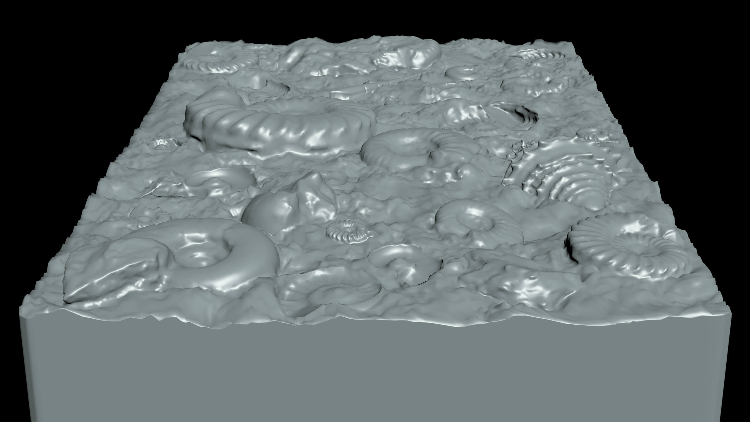 Fossil Shells Mold - 3D Model by bayazoff