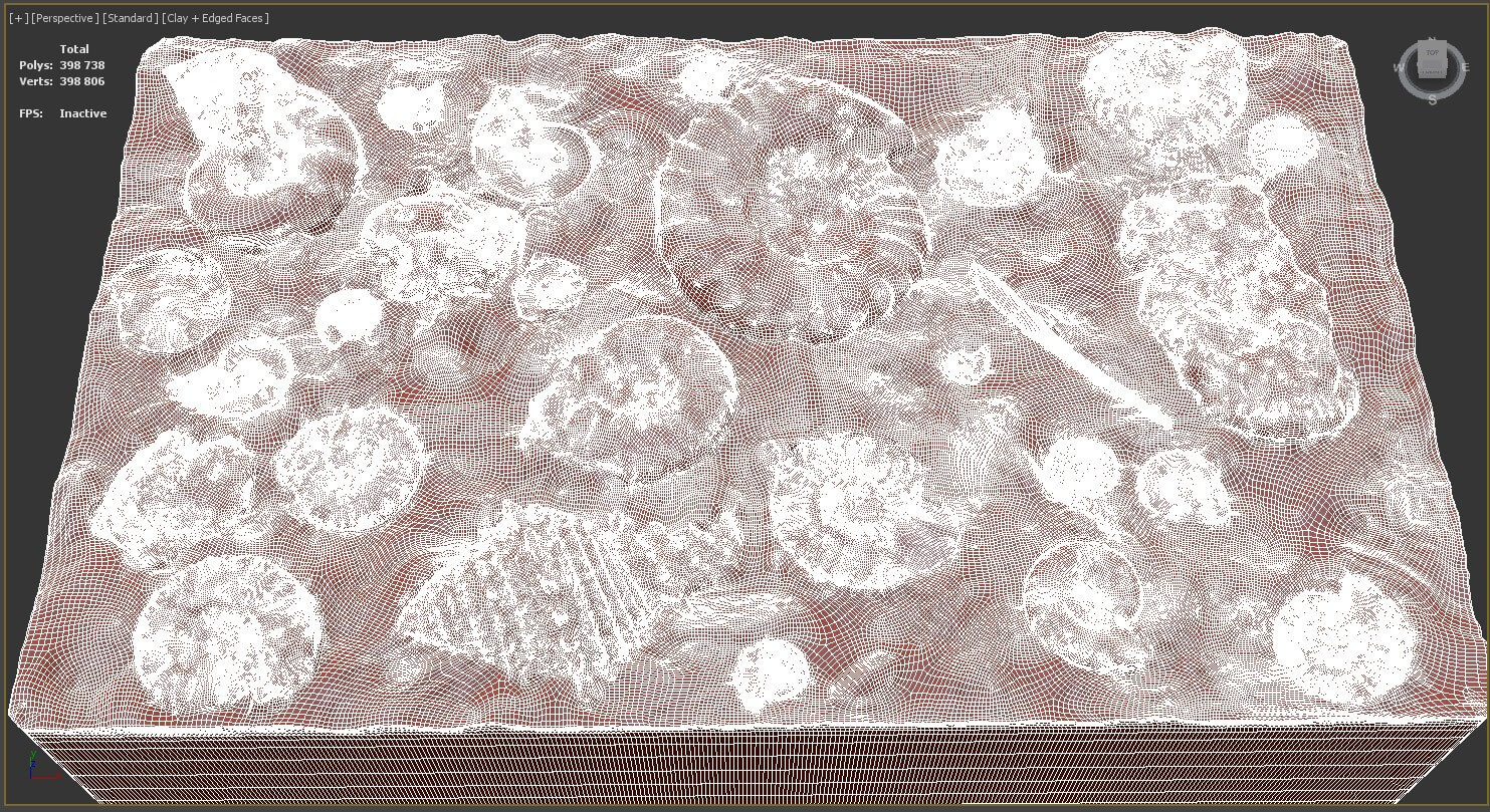 Fossil Shells Mold - 3D Model by bayazoff