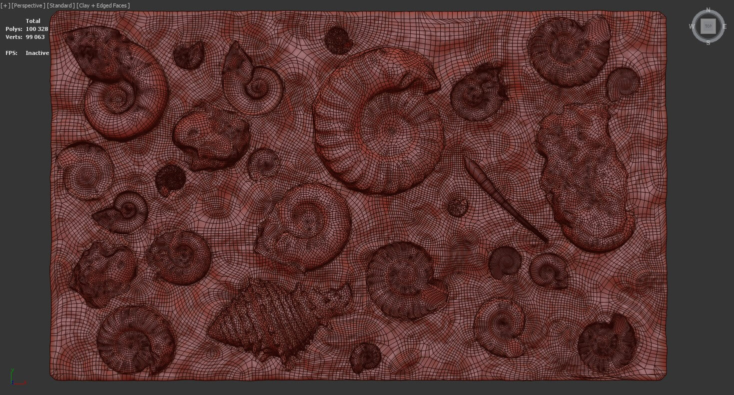 Fossil Shells Mold - 3D Model by bayazoff
