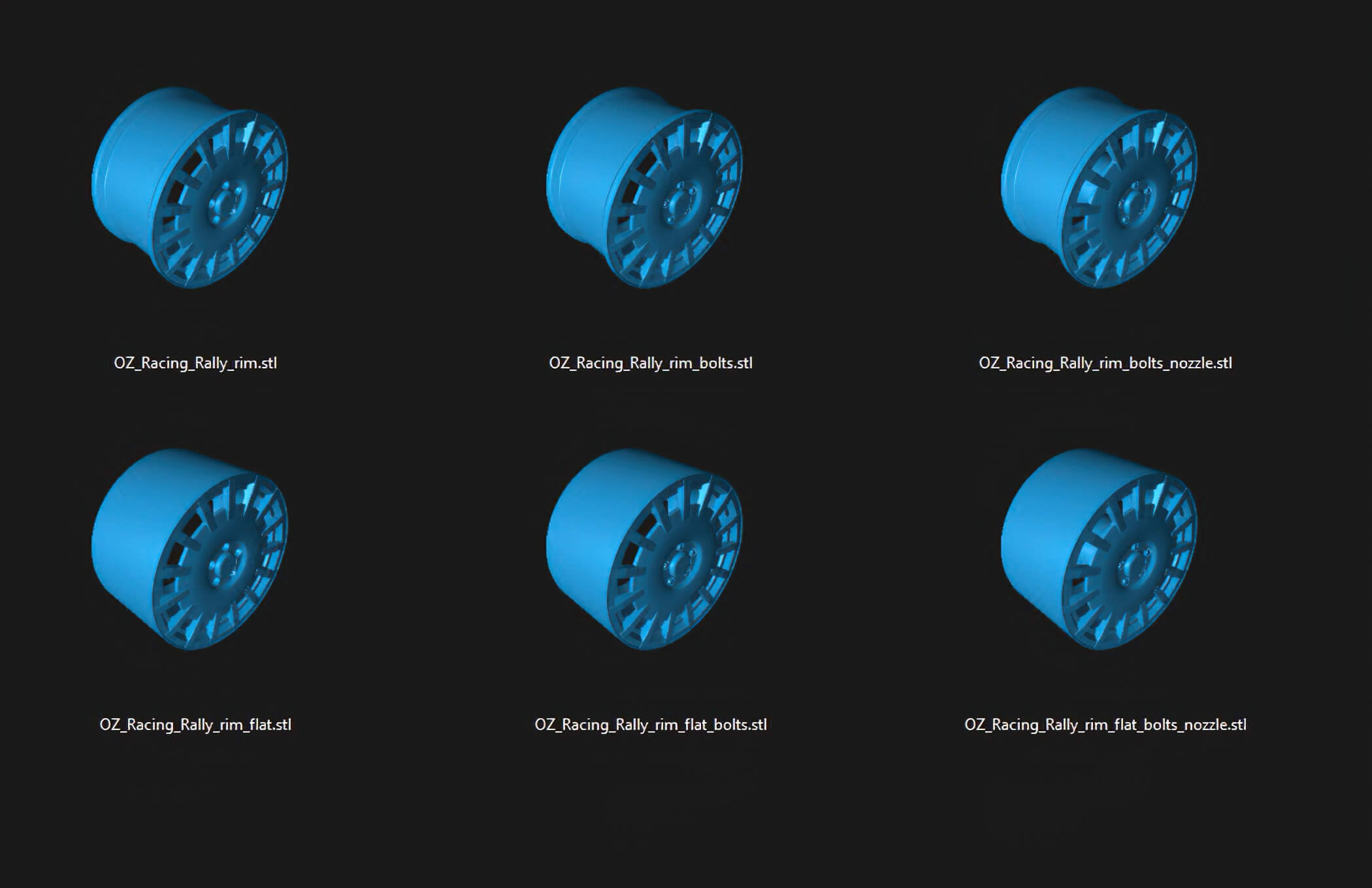 OZ Racing Rally Rim - 3D Model by bayazoff