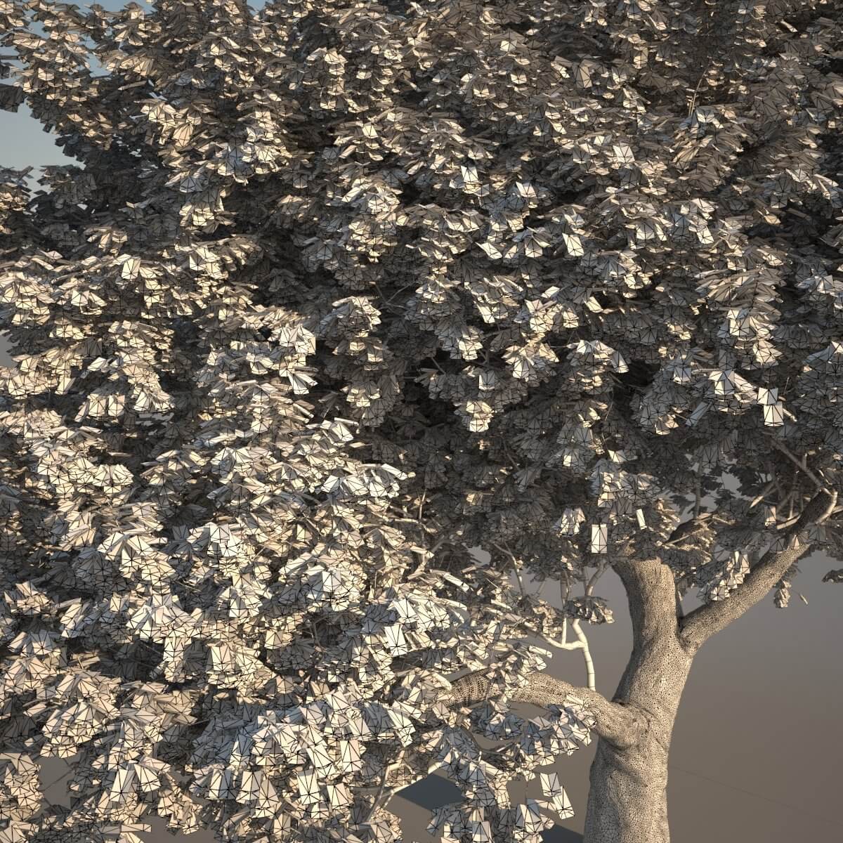 HQ Vegetation - Generic Tree 3D Model by BBB3viz