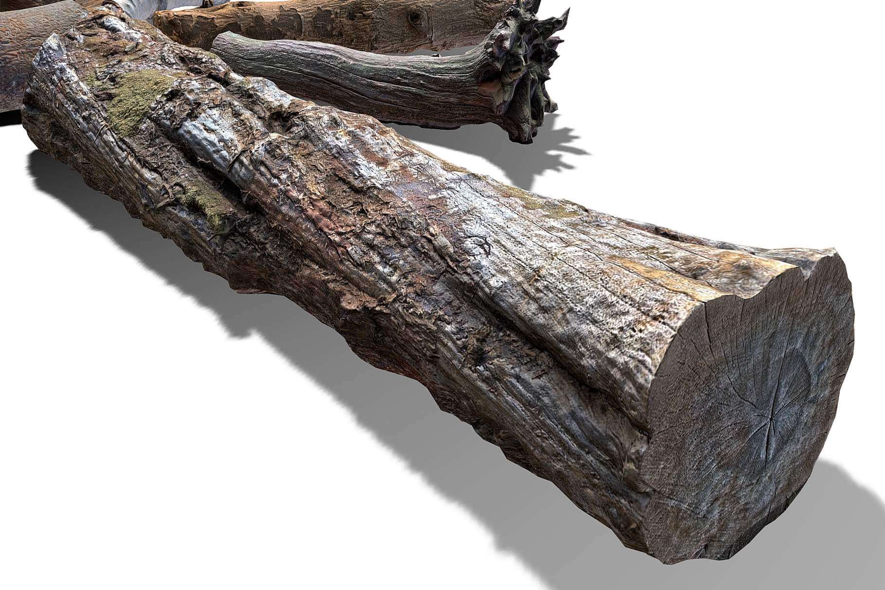 13 Tree Logs - 3D Model by Beatheart