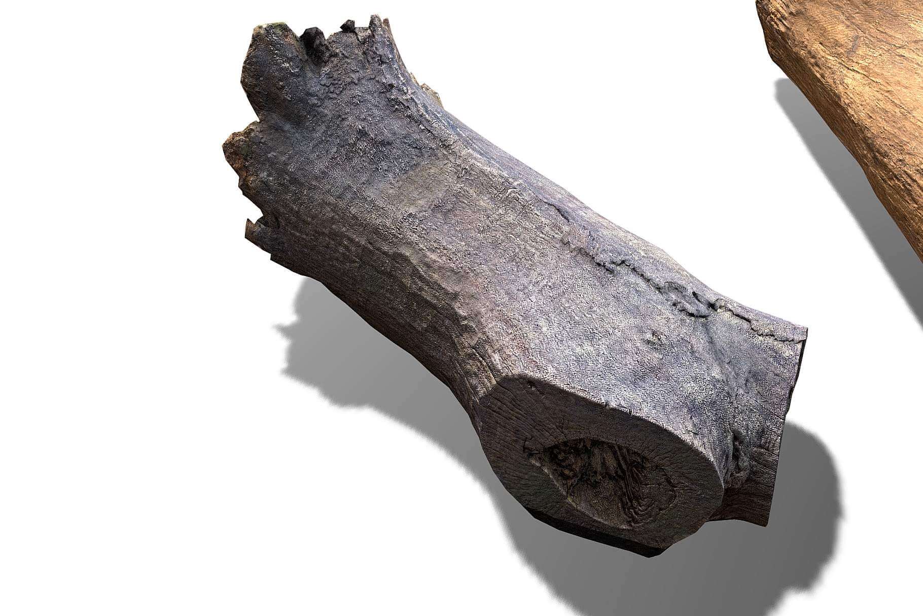 13 Tree Logs - 3D Model by Beatheart