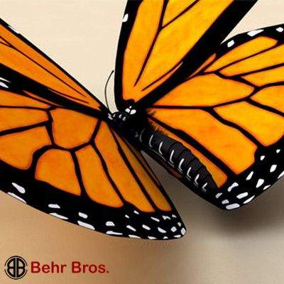 Monarch Butterfly - 3D Model by Behr Bros