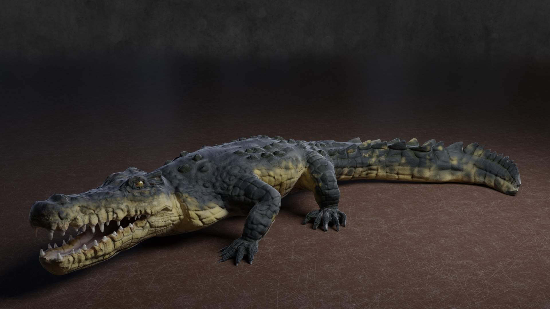 Crocodile - 3D Model by Bgut