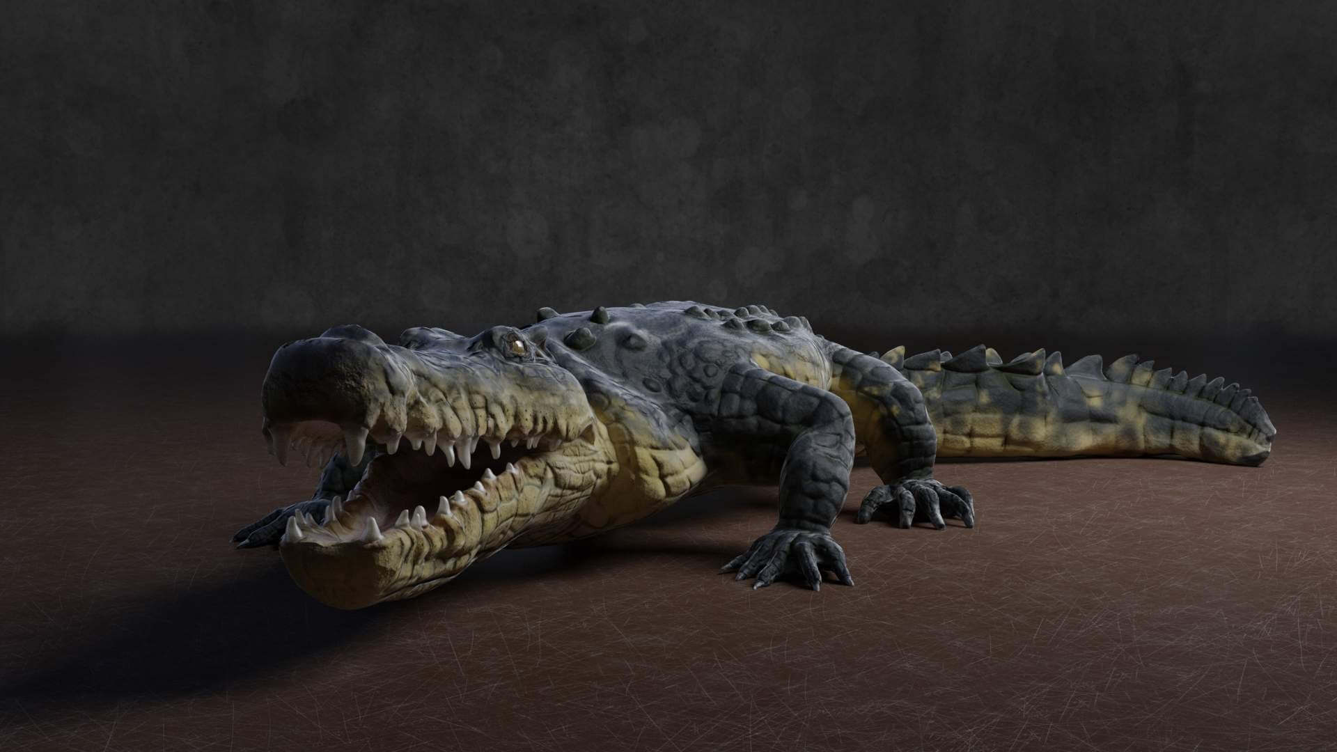 Crocodile - 3D Model by Bgut