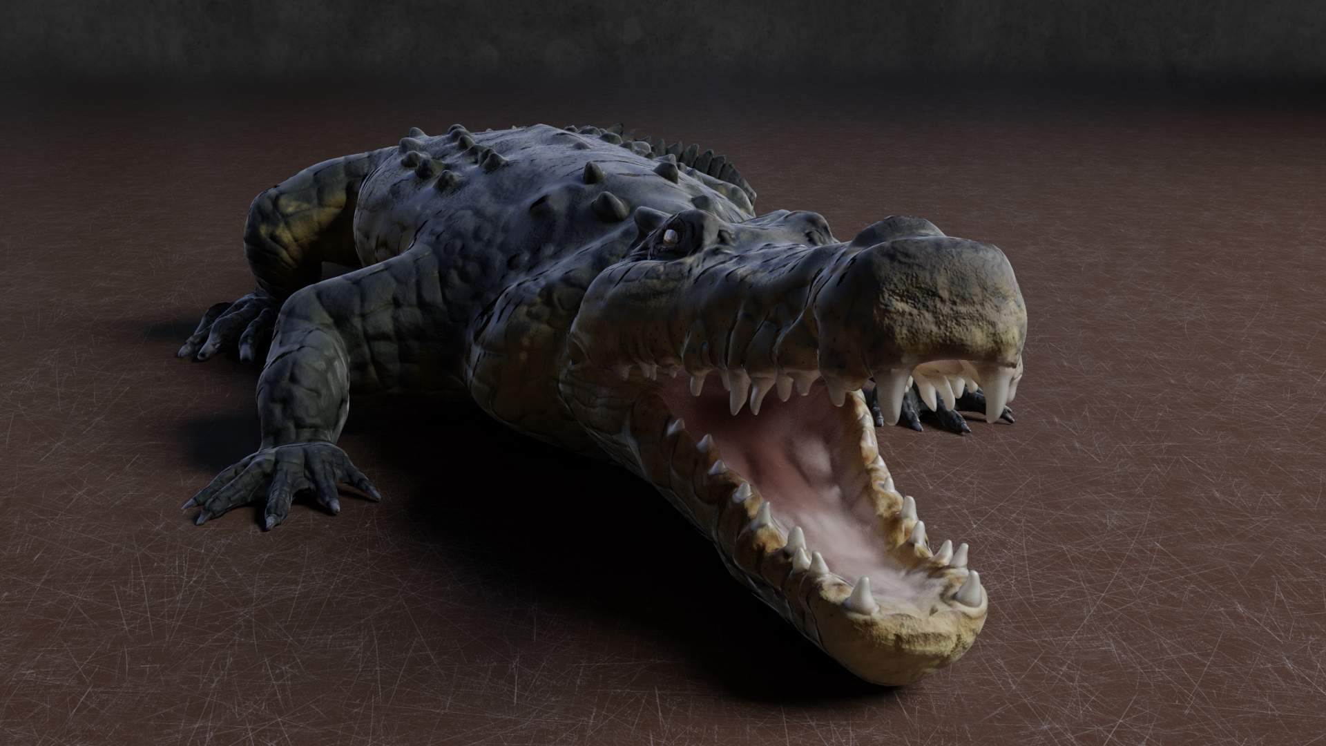 Crocodile - 3D Model by Bgut