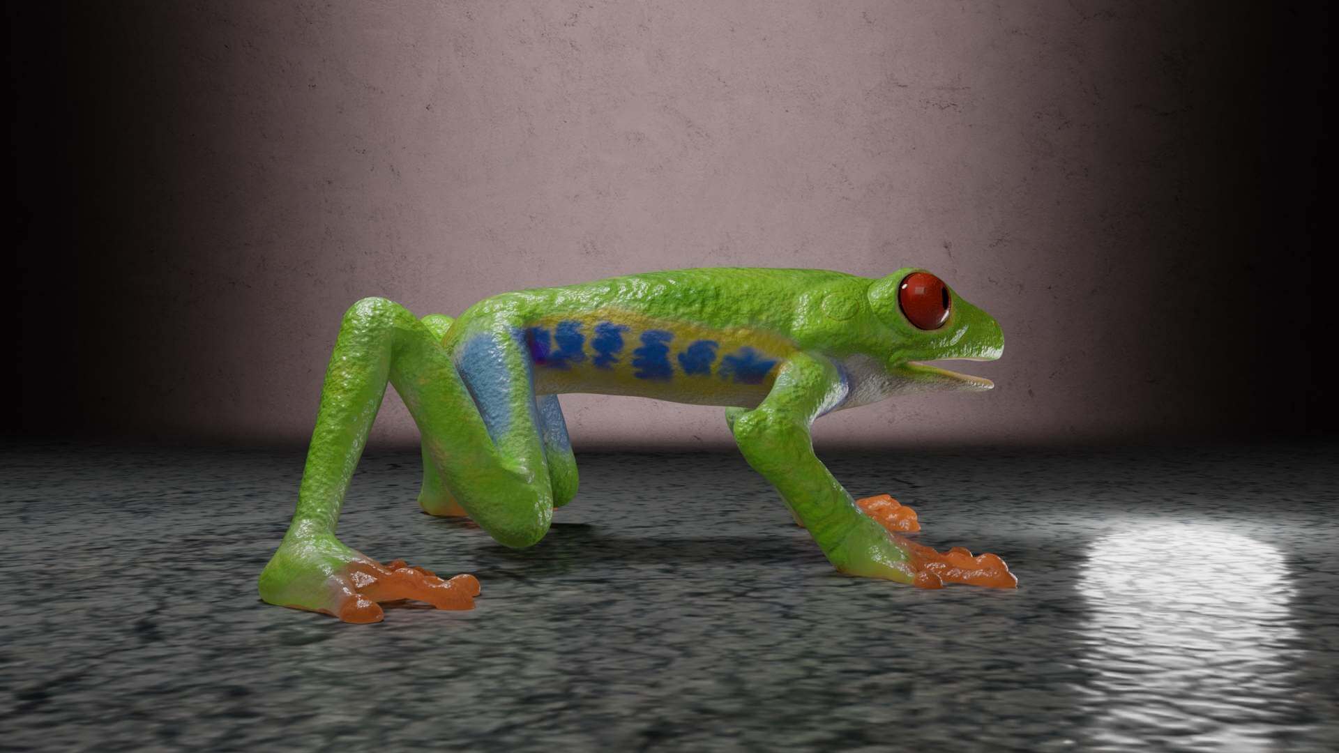 Red Eye Tree Frog - 3D Model by Bgut
