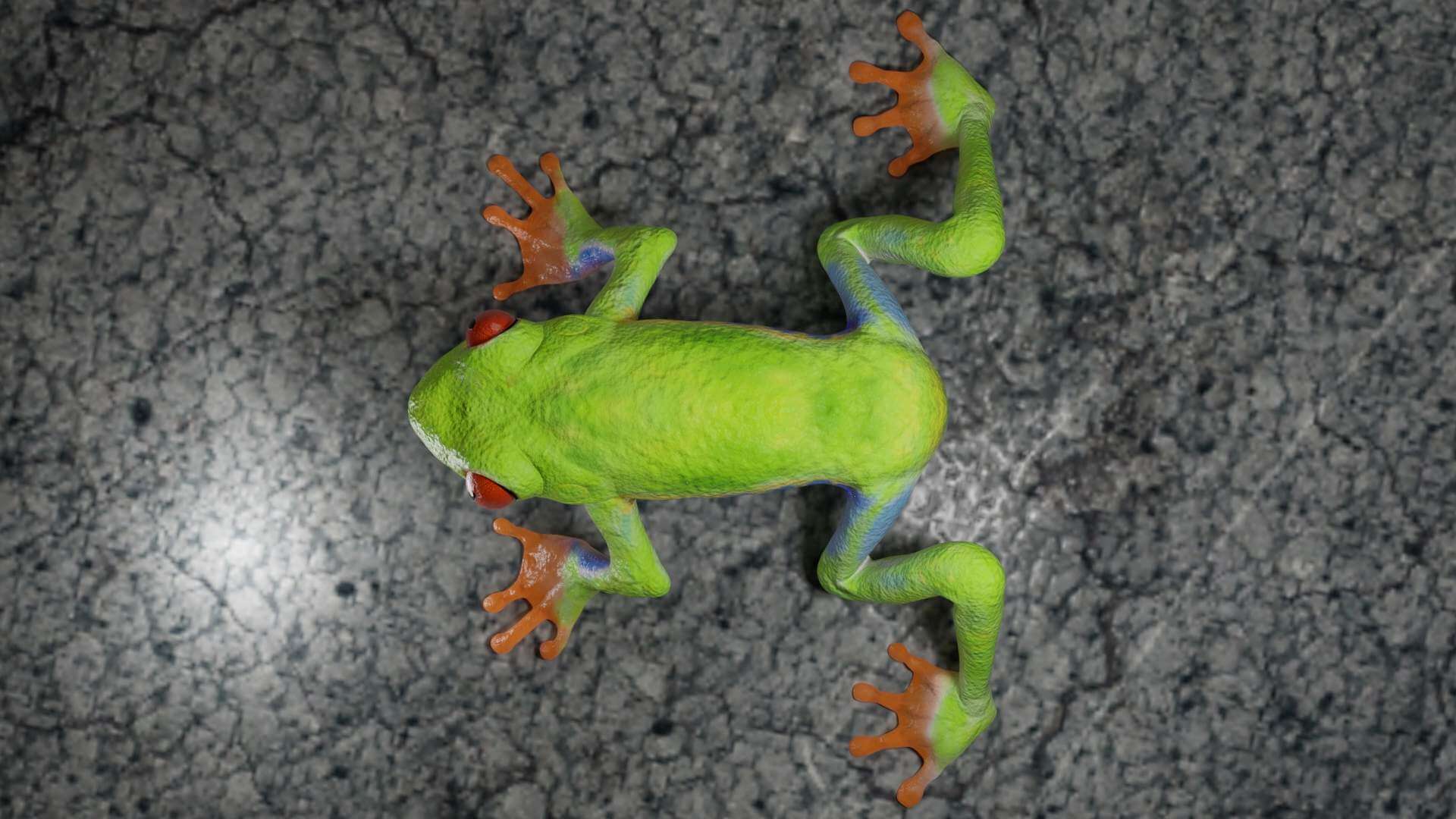 Red Eye Tree Frog - 3D Model by Bgut
