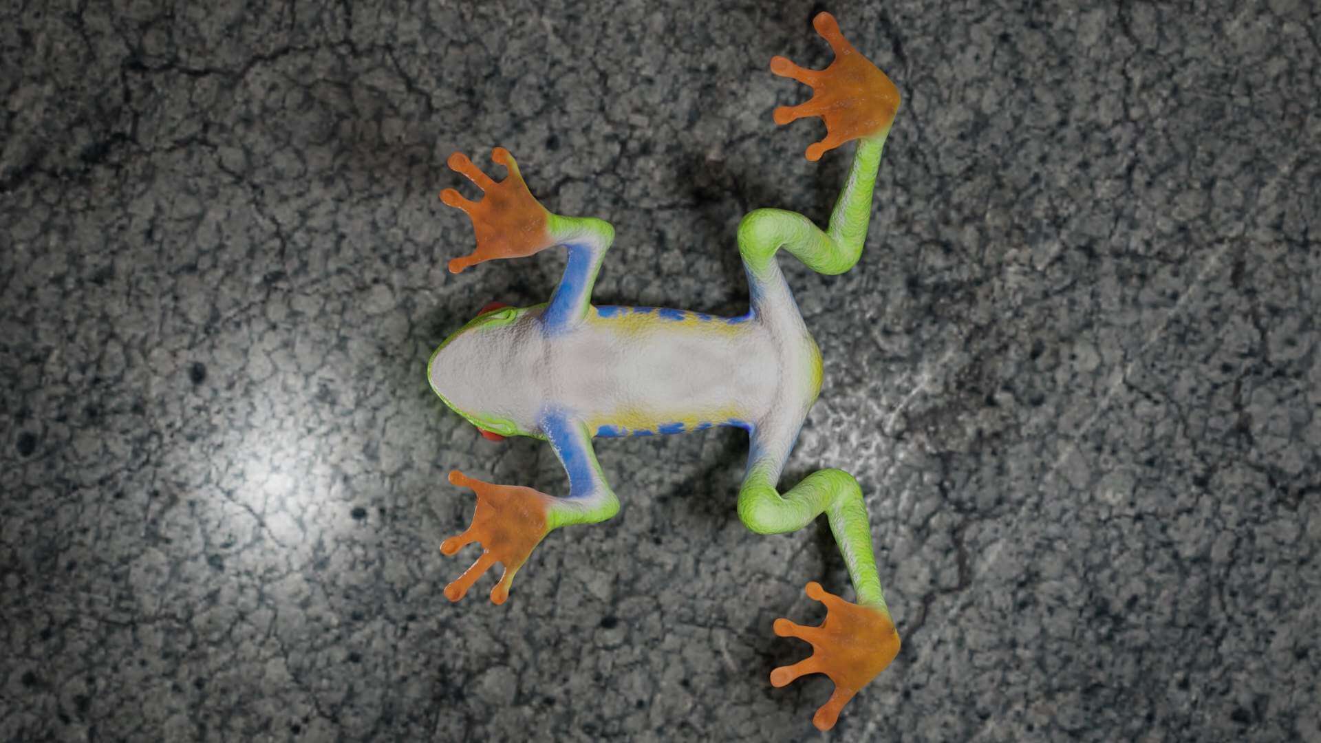 Red Eye Tree Frog - 3D Model by Bgut