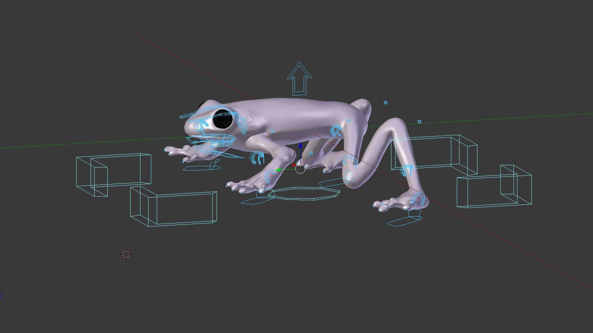 Red Eye Tree Frog - 3D Model by Bgut