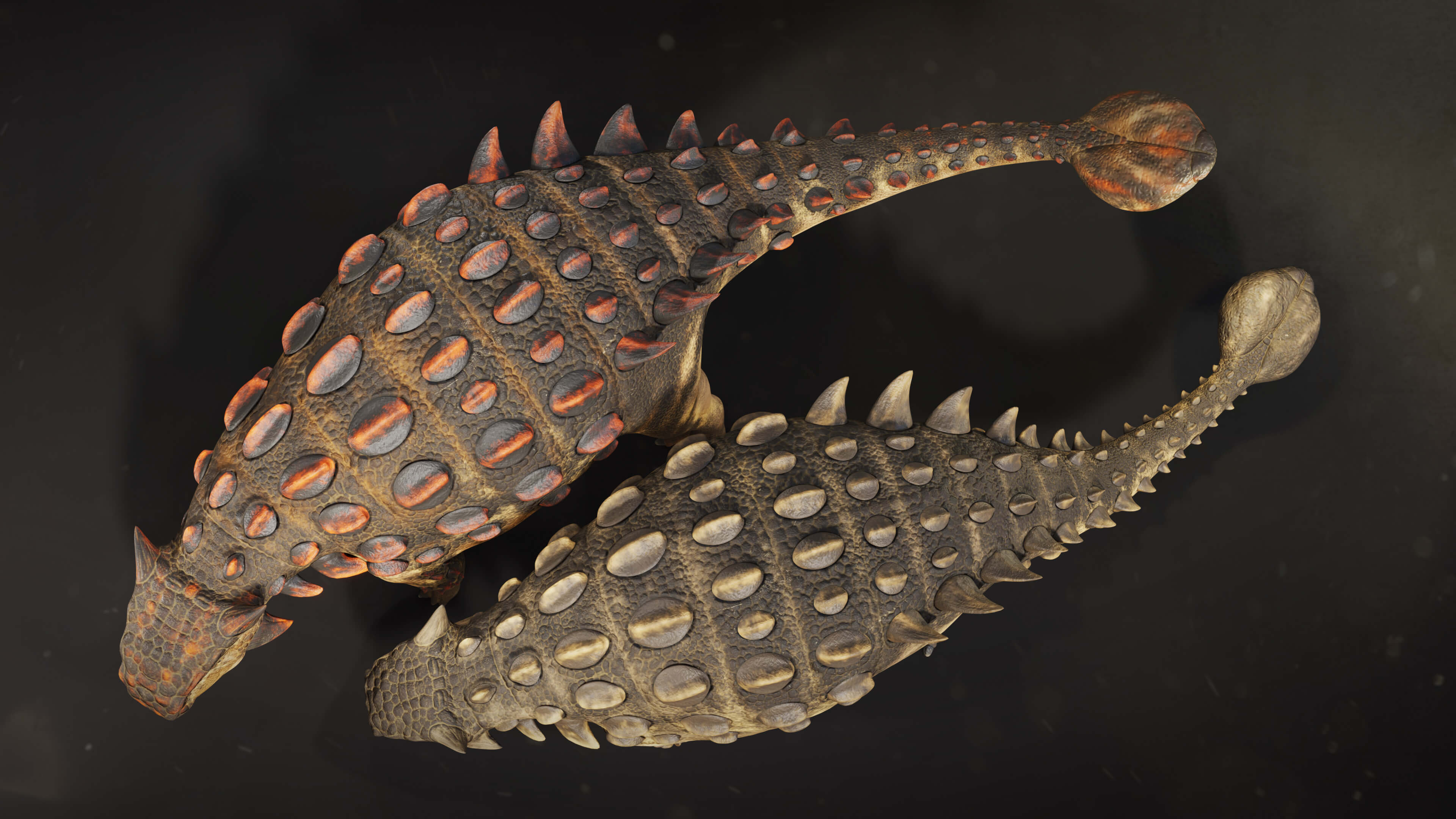 Ankylosaurus Rig Asset - 3D Model by billnguyen1411