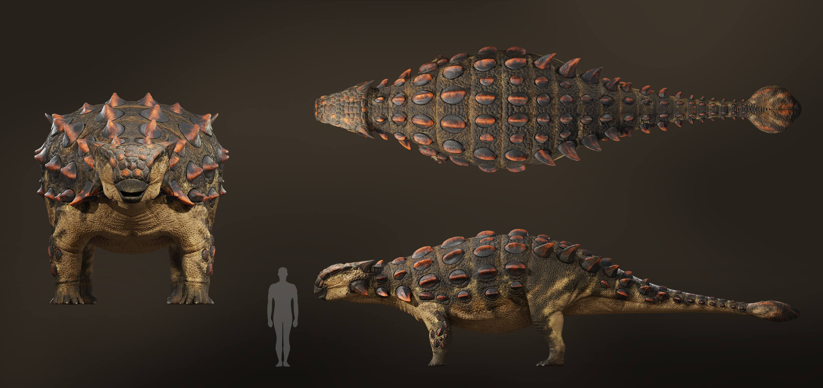 Ankylosaurus Rig Asset - 3D Model by billnguyen1411