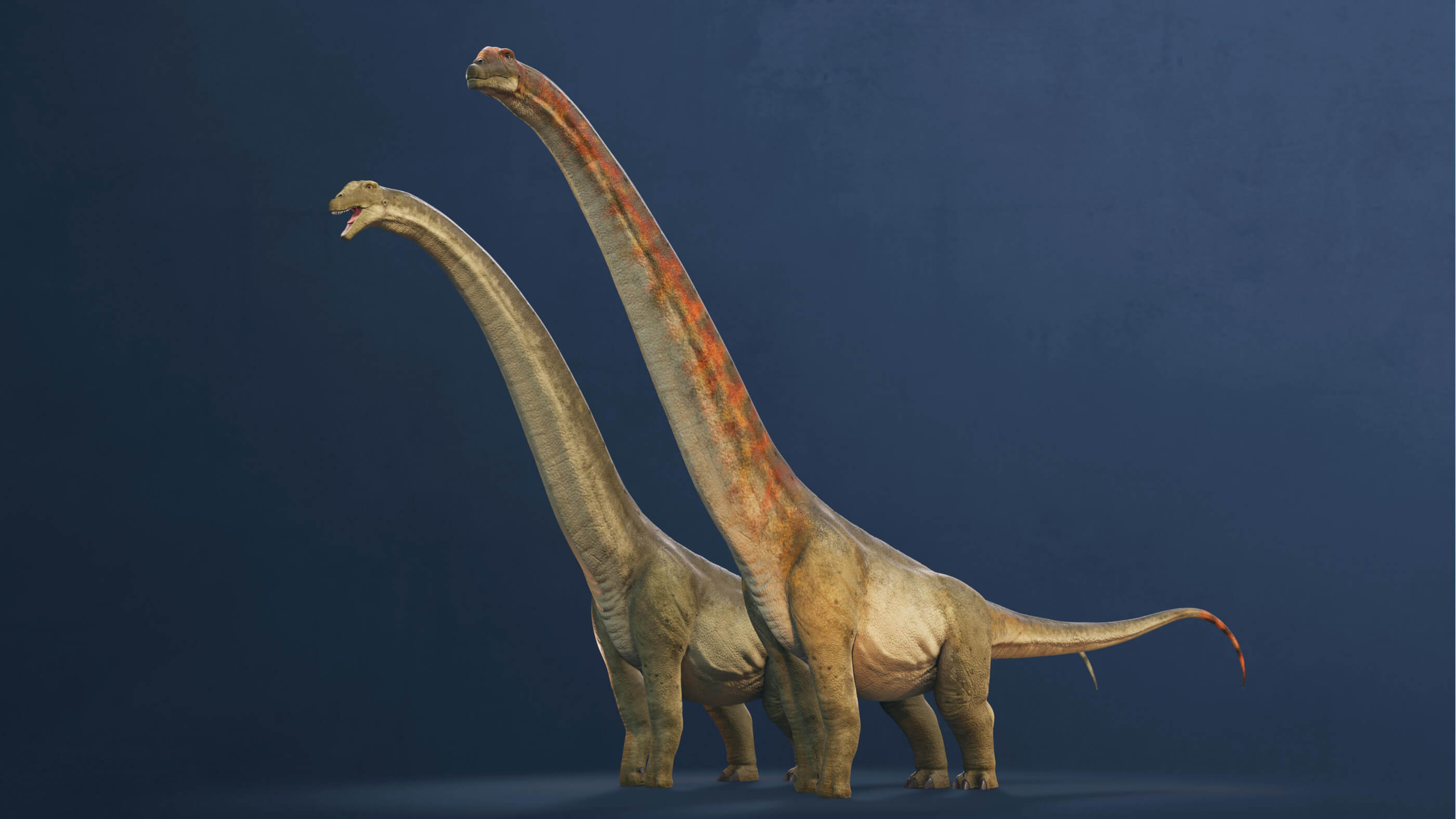 Argentinosaurus Walking With Dinosaurs