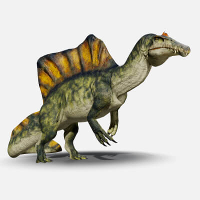 Spinosaurus Rig - 3D Model by billnguyen1411