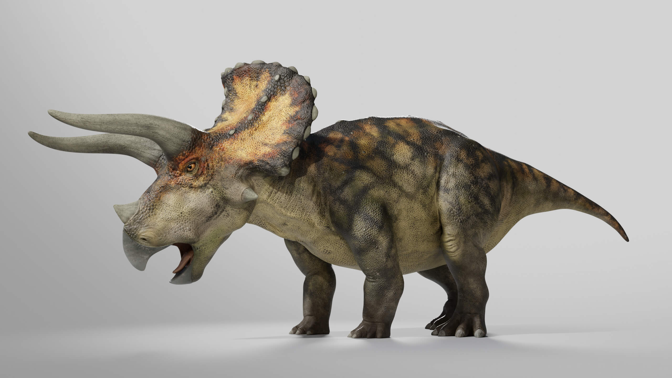 Triceratops Rig - 3D Model by billnguyen1411