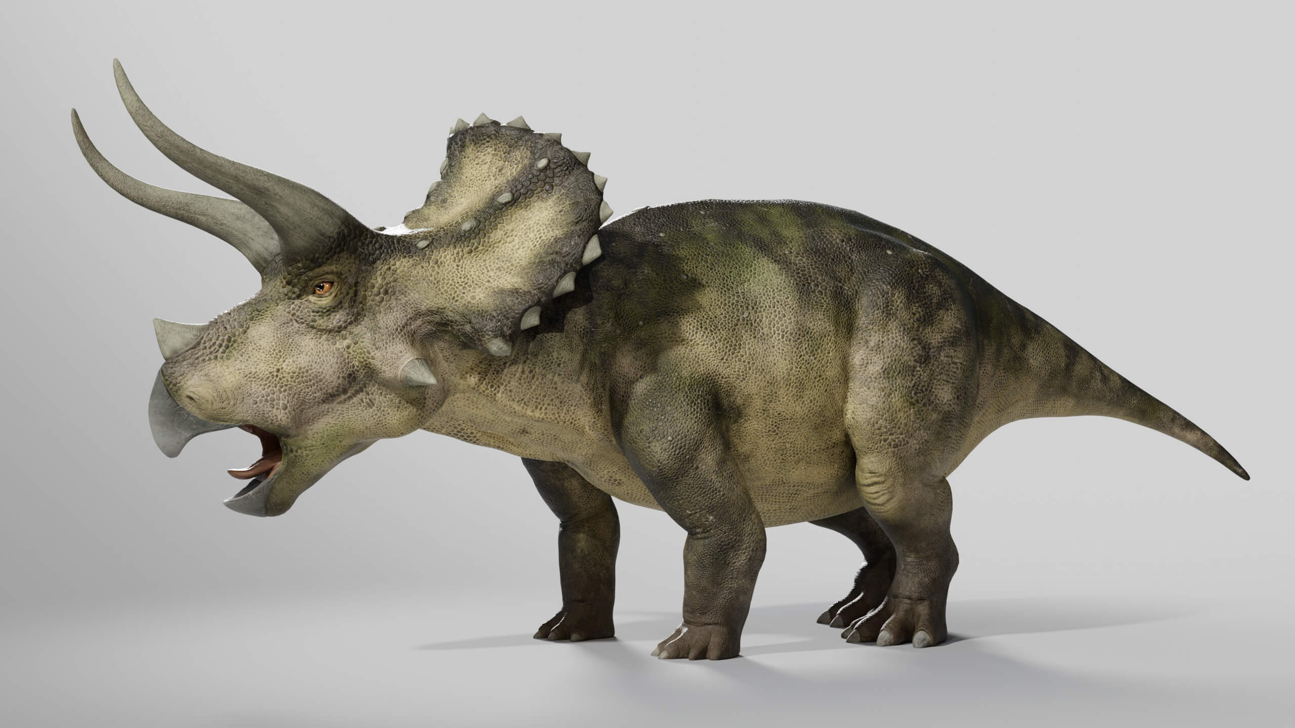 Triceratops Rig - 3D Model by billnguyen1411