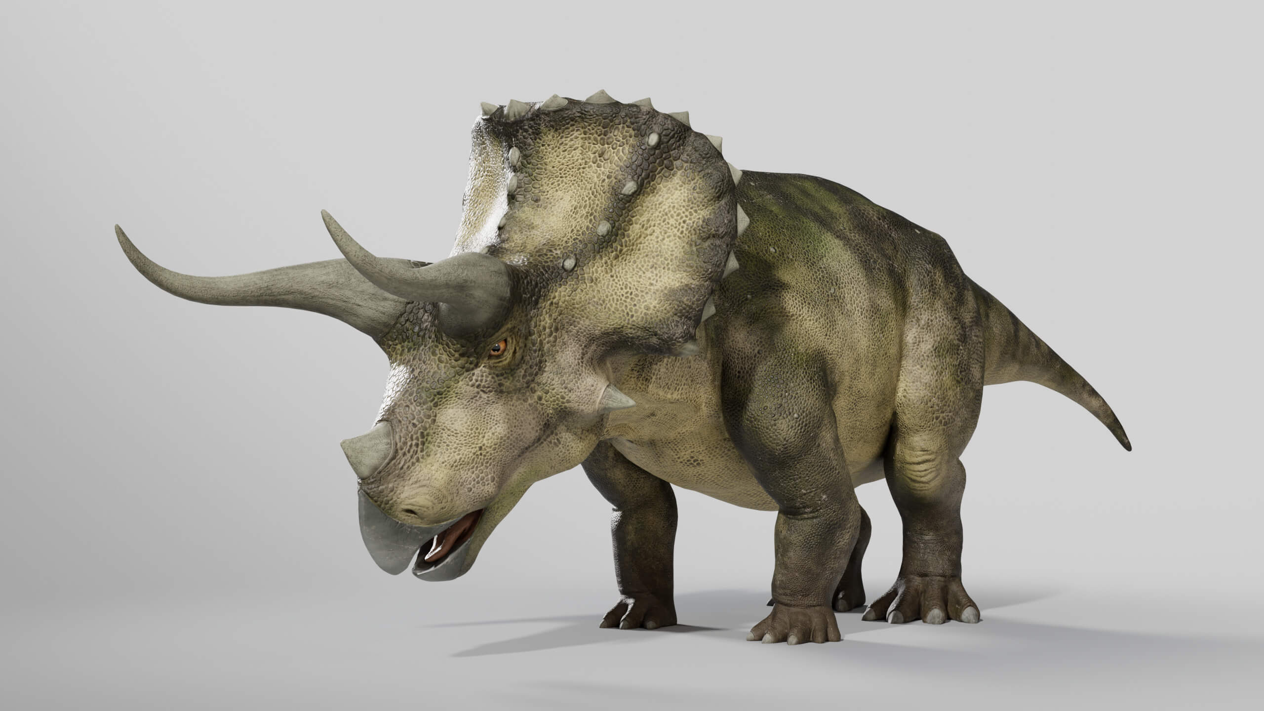 Triceratops Rig - 3D Model by billnguyen1411