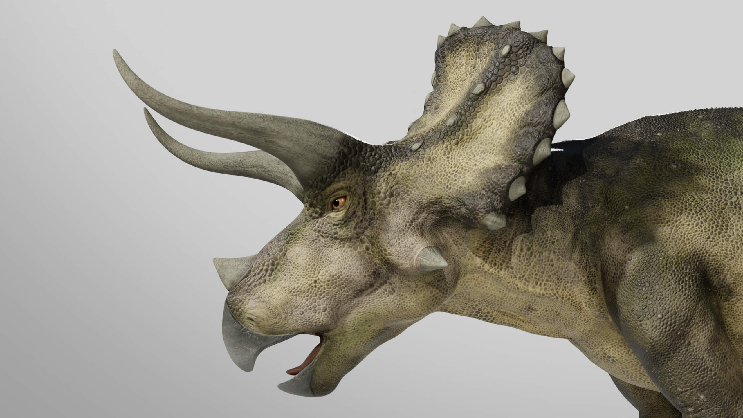 Triceratops Rig - 3D Model by billnguyen1411