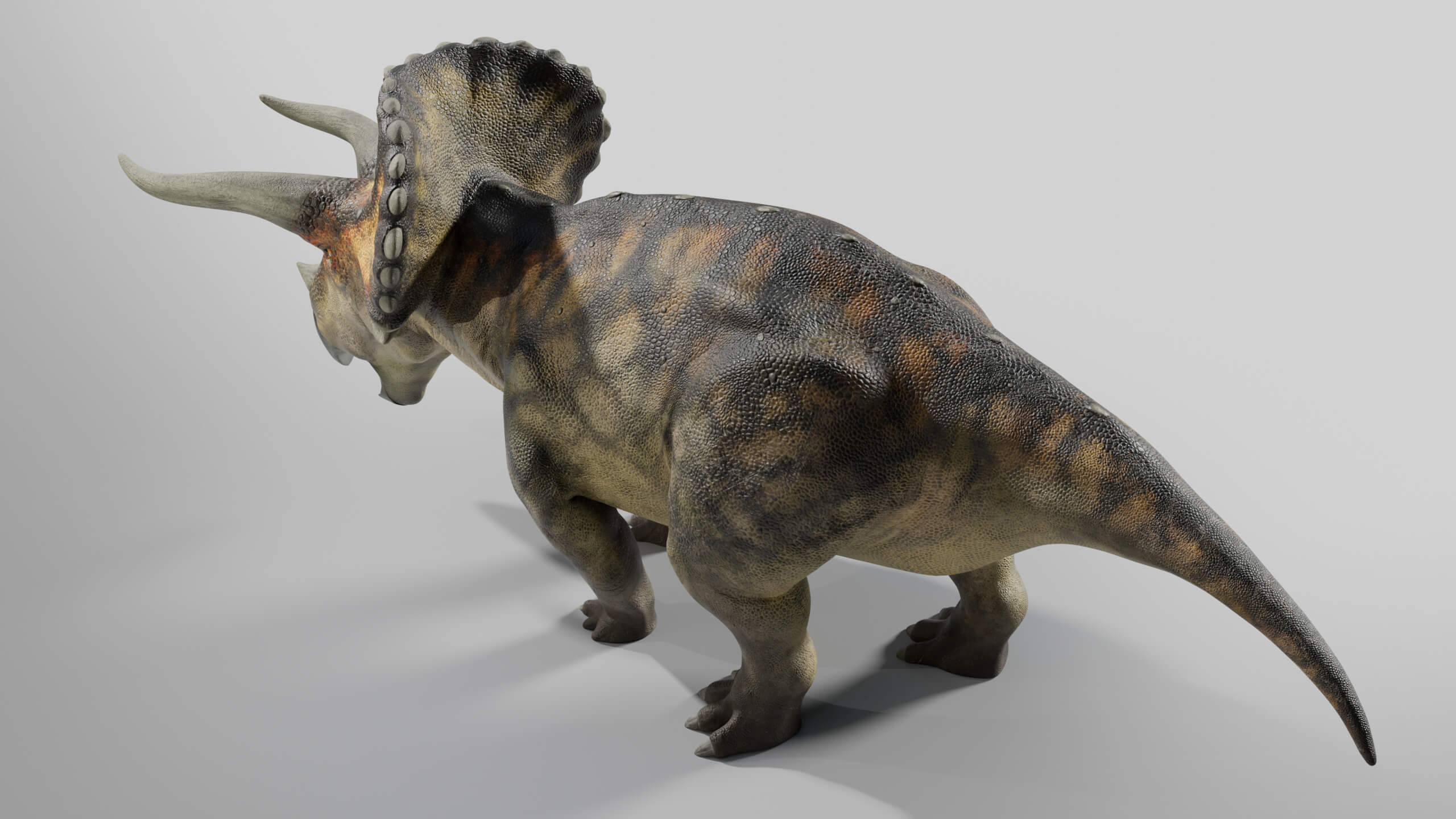 Triceratops Rig - 3D Model by billnguyen1411