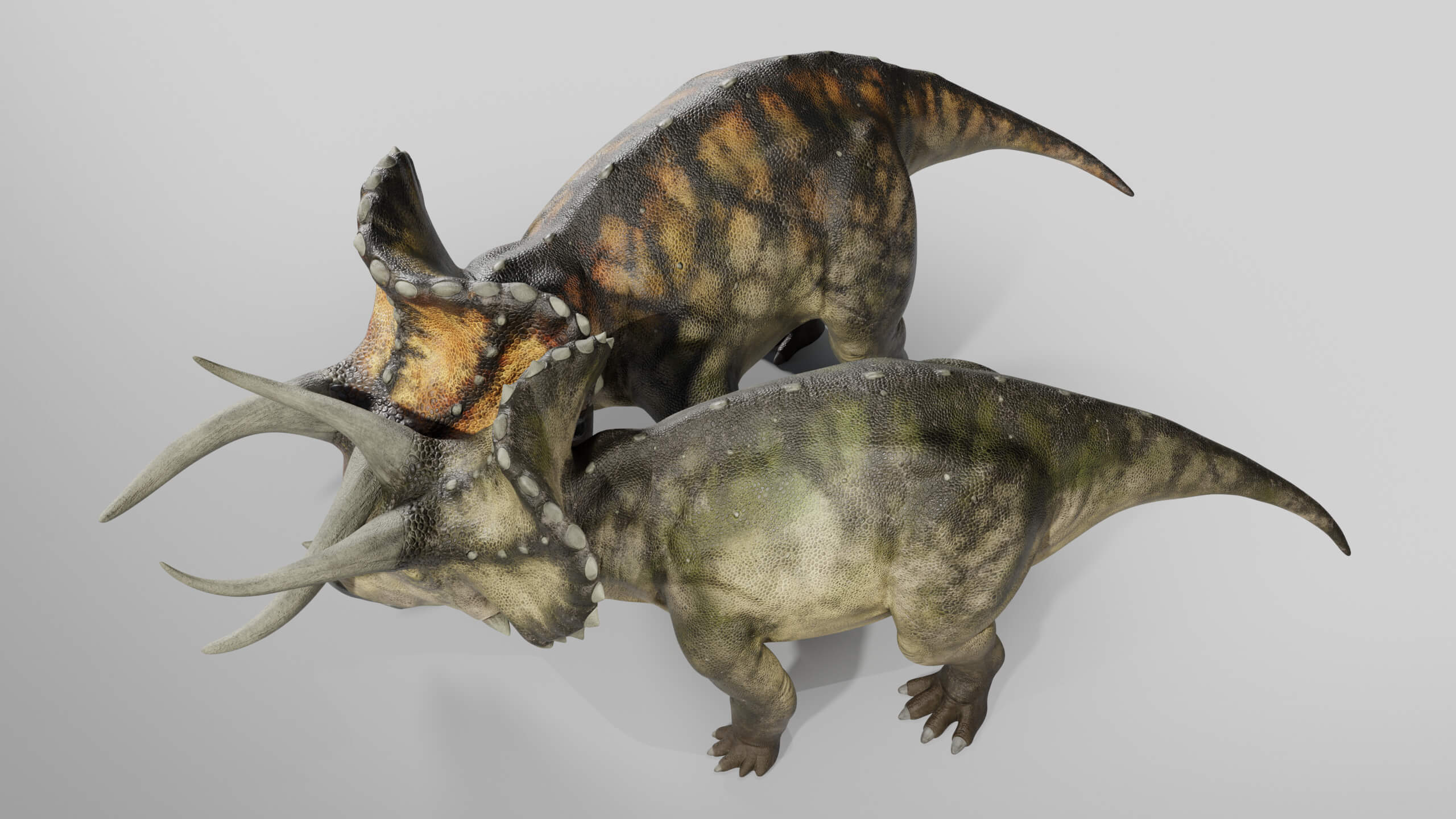 Triceratops Rig - 3D Model by billnguyen1411