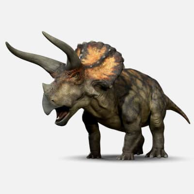 Triceratops Rig - 3D Model by billnguyen1411