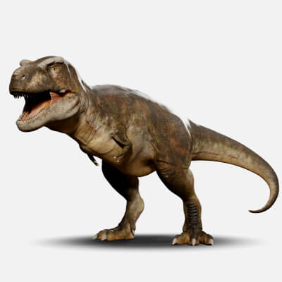Tyrannosaurus Rex Rig - 3D Model by billnguyen1411