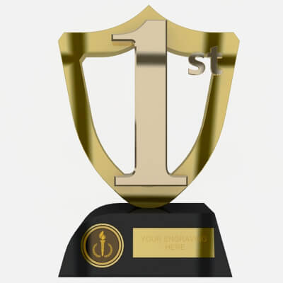 1st Prize Trophy - 3D Model by Birdfix