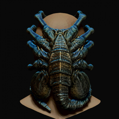 Alien Romulus Facehugger High Quality Mask - 3D Model by blackstar90