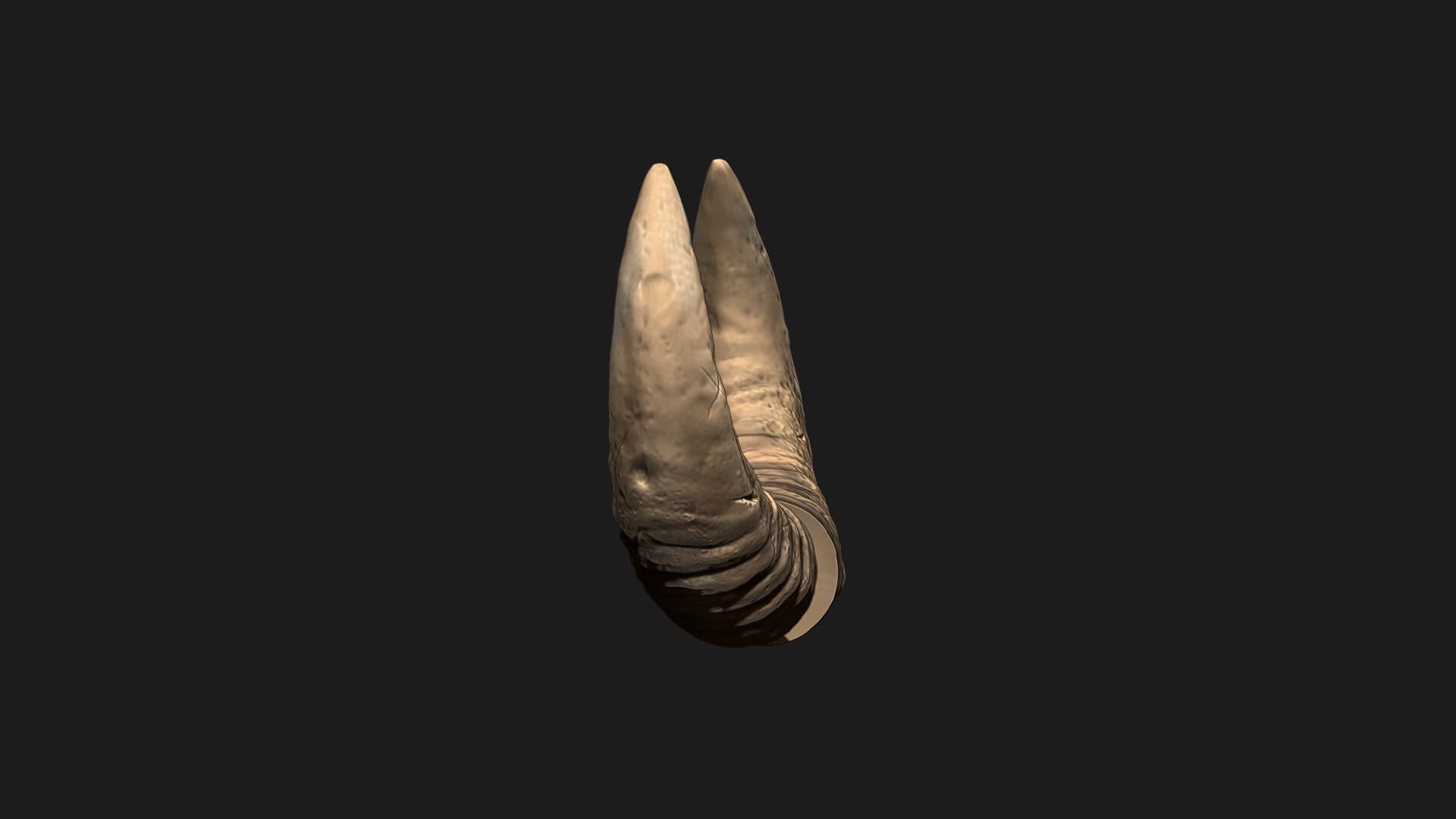 Buffalo Horns - Satan Horns - Demon Horns 3D Model by blackstar90
