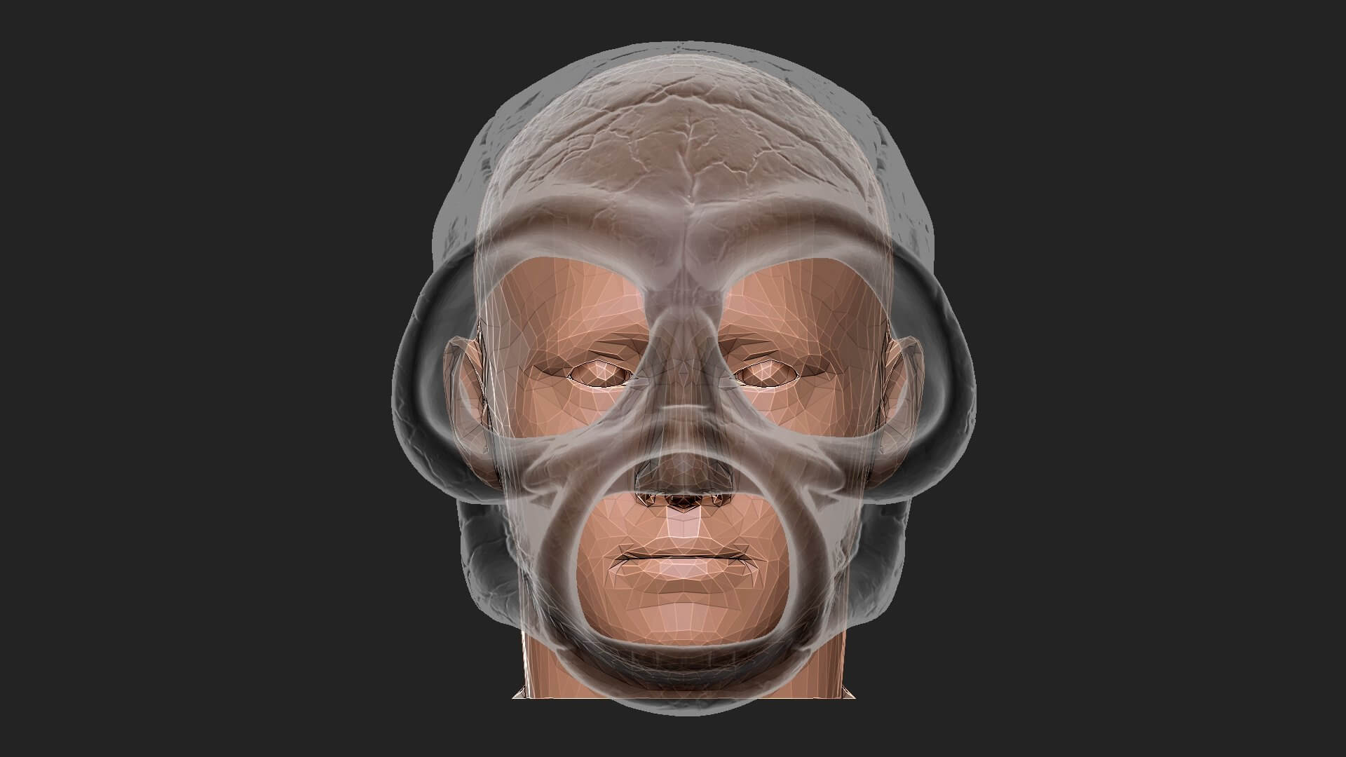 Iowa Sid Wilson Mask - Slipknot Mask 3D Model by blackstar90