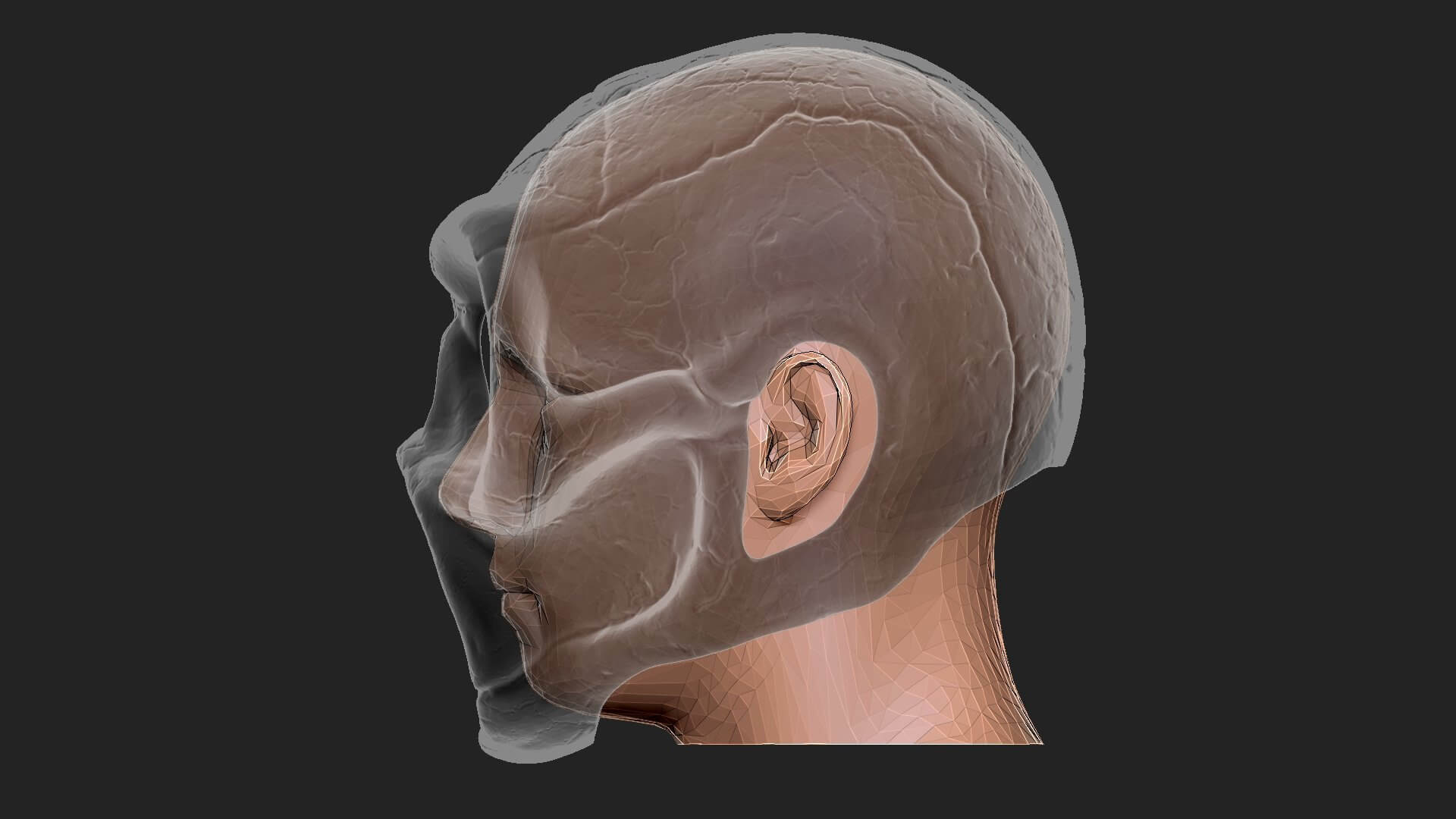 Iowa Sid Wilson Mask - Slipknot Mask 3D Model by blackstar90