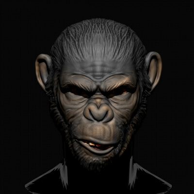 King Monkey Mask - Kingdom of The Planet of The Apes 3D Model by ...