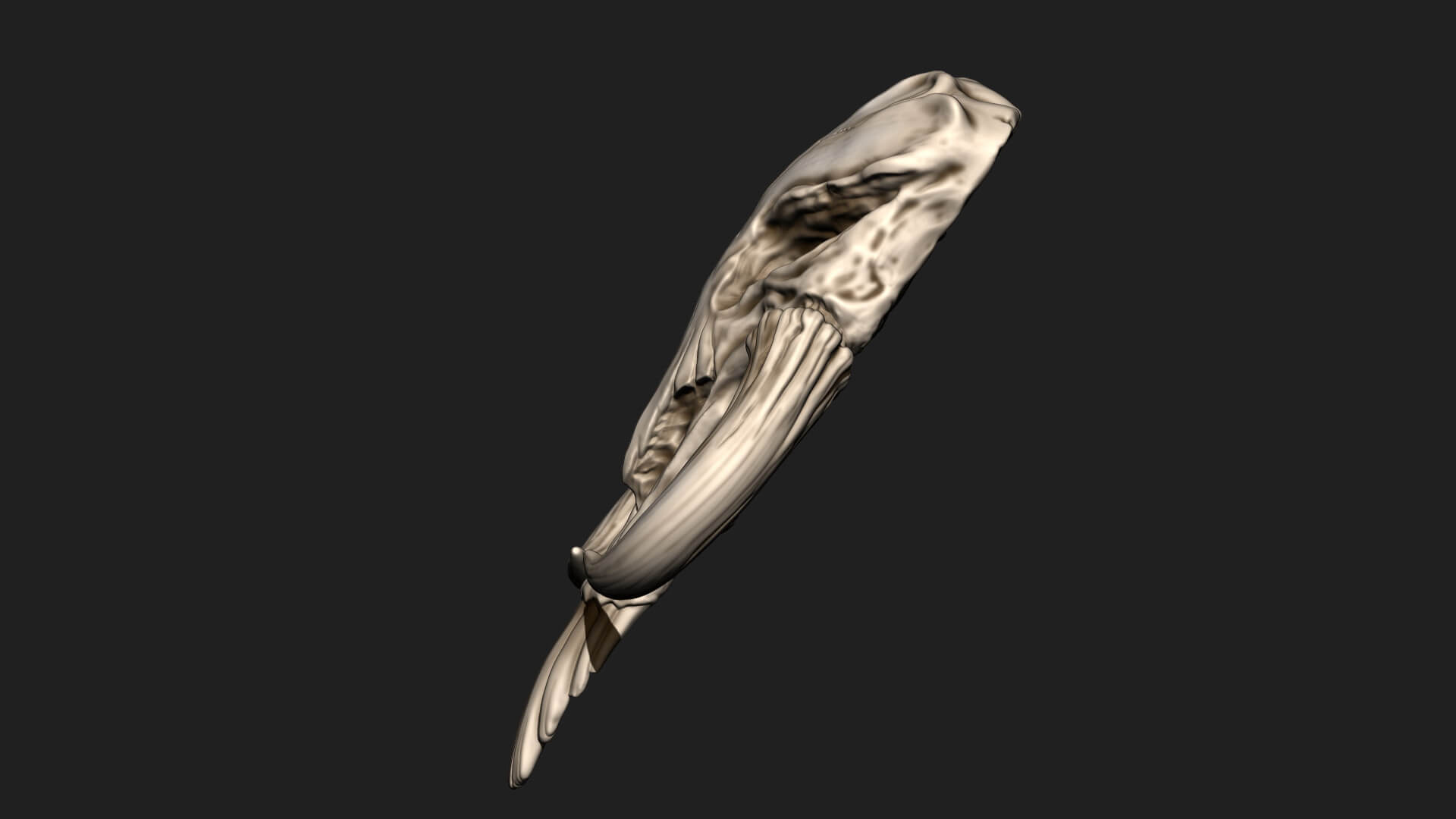 Mythosaur Skull High Quality - Mandalorian Starwars Movie 3D Model by ...