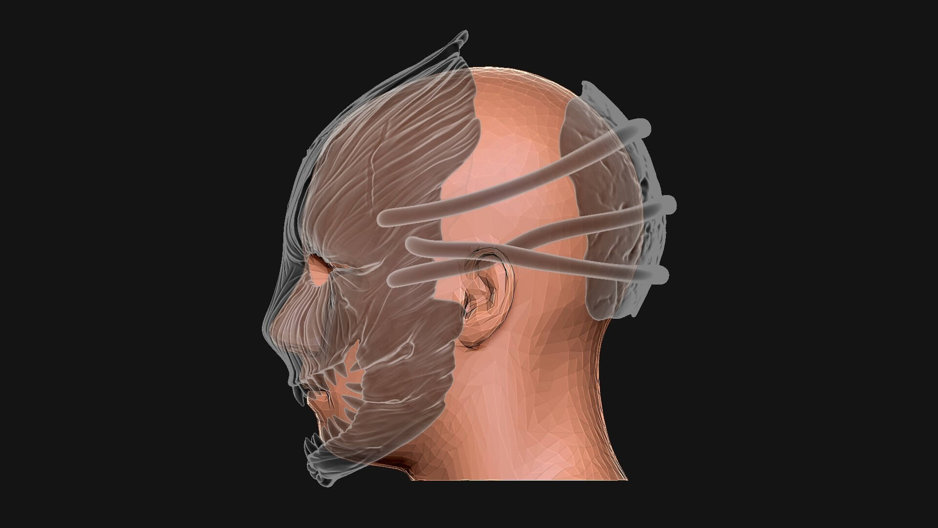 The Trapper Mask from Dead By Daylight - 3D Model by blackstar90