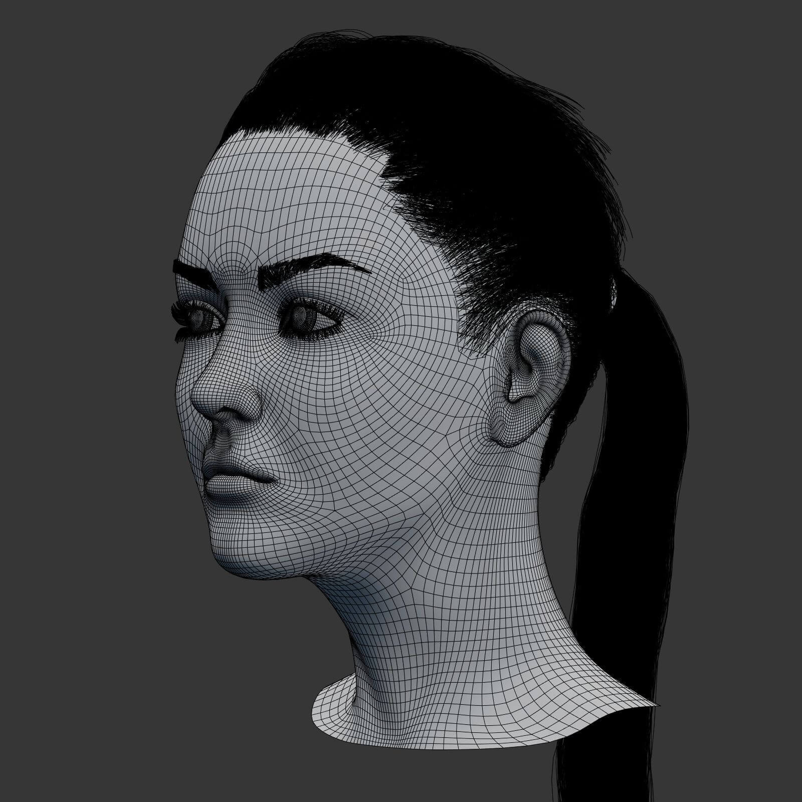 Female Head - 3D Model by Blend