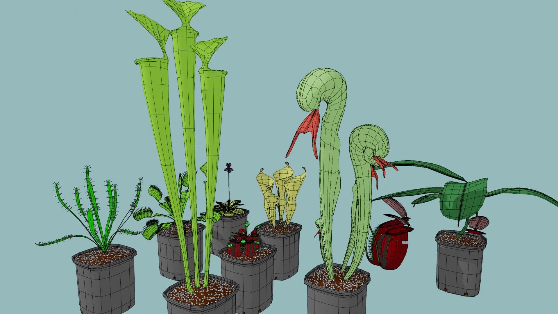 Carnivorous Plants Collection - 3D Model by Blenduffo