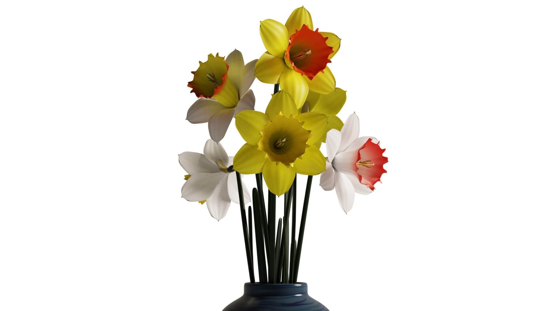 Daffodils - 3D Model by Blenduffo