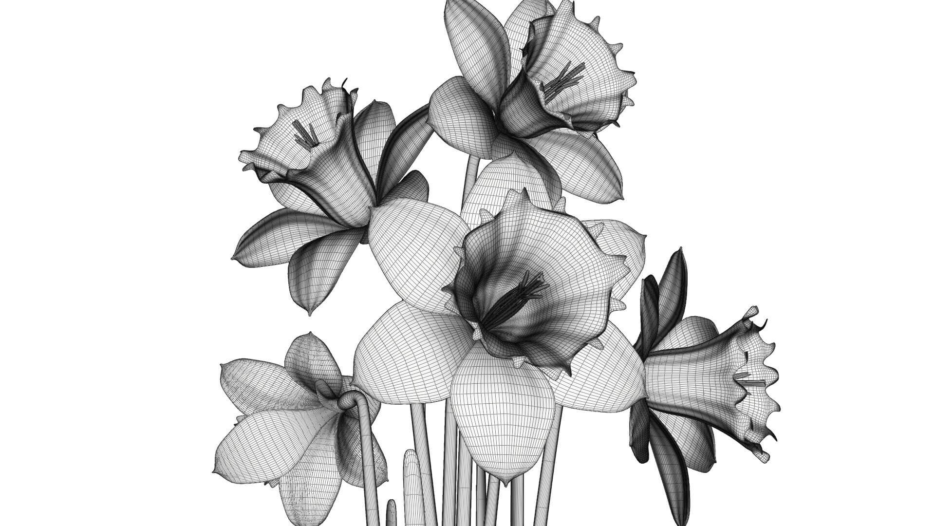 Daffodils - 3D Model by Blenduffo