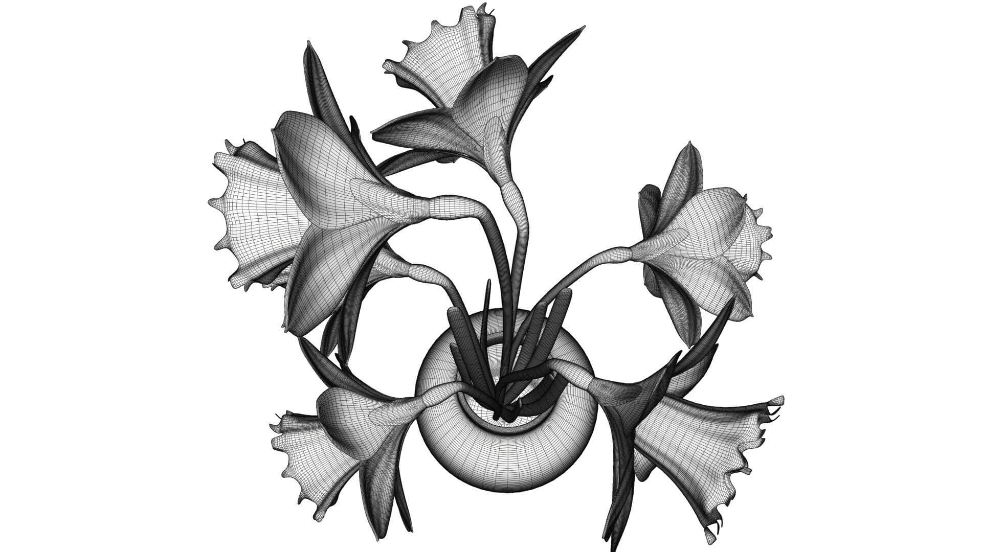 Daffodils - 3D Model by Blenduffo