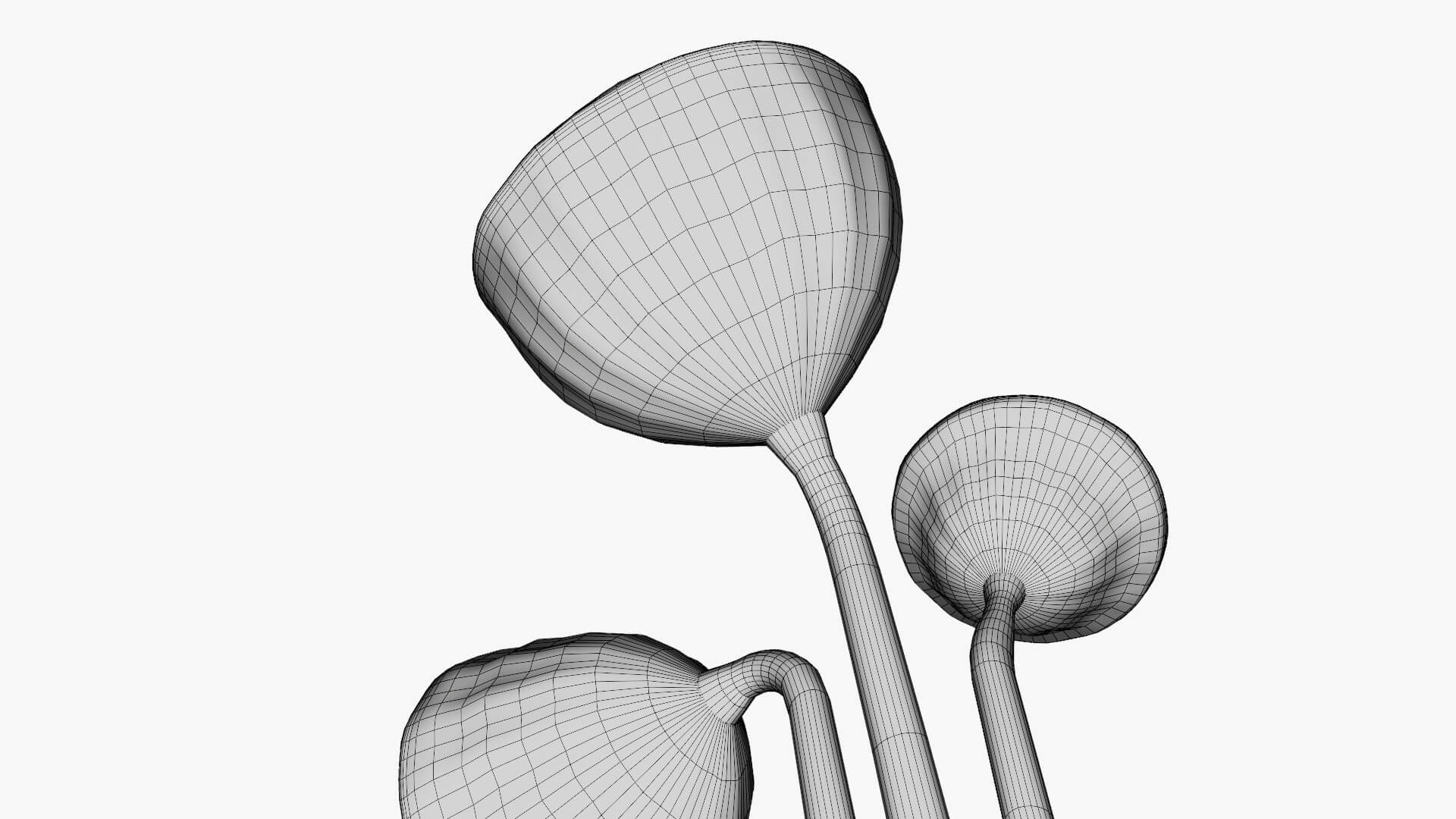 Lotus Seed Pods - 3D Model by Blenduffo