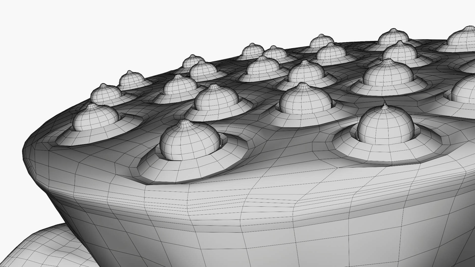 Lotus Seed Pods - 3D Model by Blenduffo