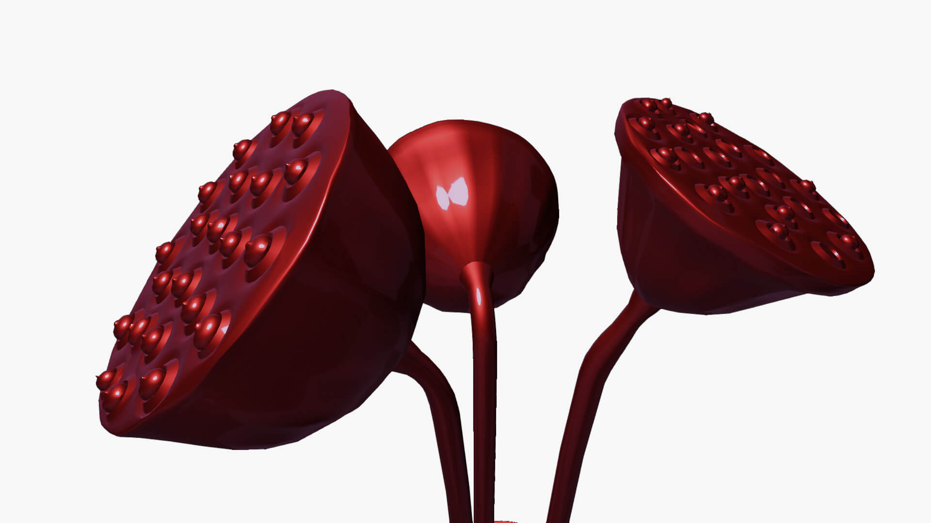 Lotus Seed Pods - 3D Model by Blenduffo
